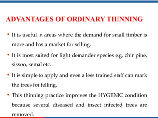 THINING IN FORESTRY AND ITS TYPES IN FORESTRY | PPTX