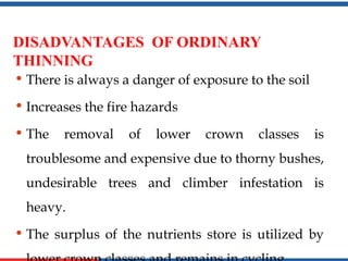 THINING IN FORESTRY AND ITS TYPES IN FORESTRY | PPTX