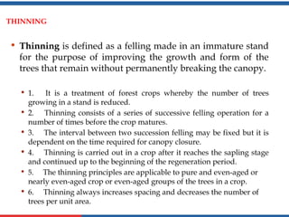 THINING IN FORESTRY AND ITS TYPES IN FORESTRY | PPTX