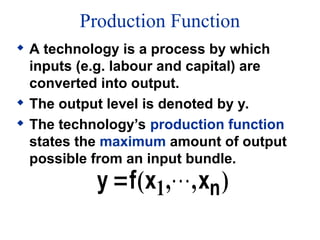Production Theory lecture - Focusing on production function.ppt