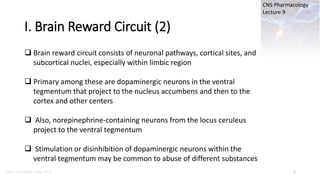 Lect. 9 Brain Reward Circuit and Drugs of Abuse | PDF