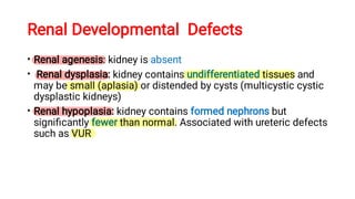 Lecture 9 hereditary cystic diseases of kidny | PPT