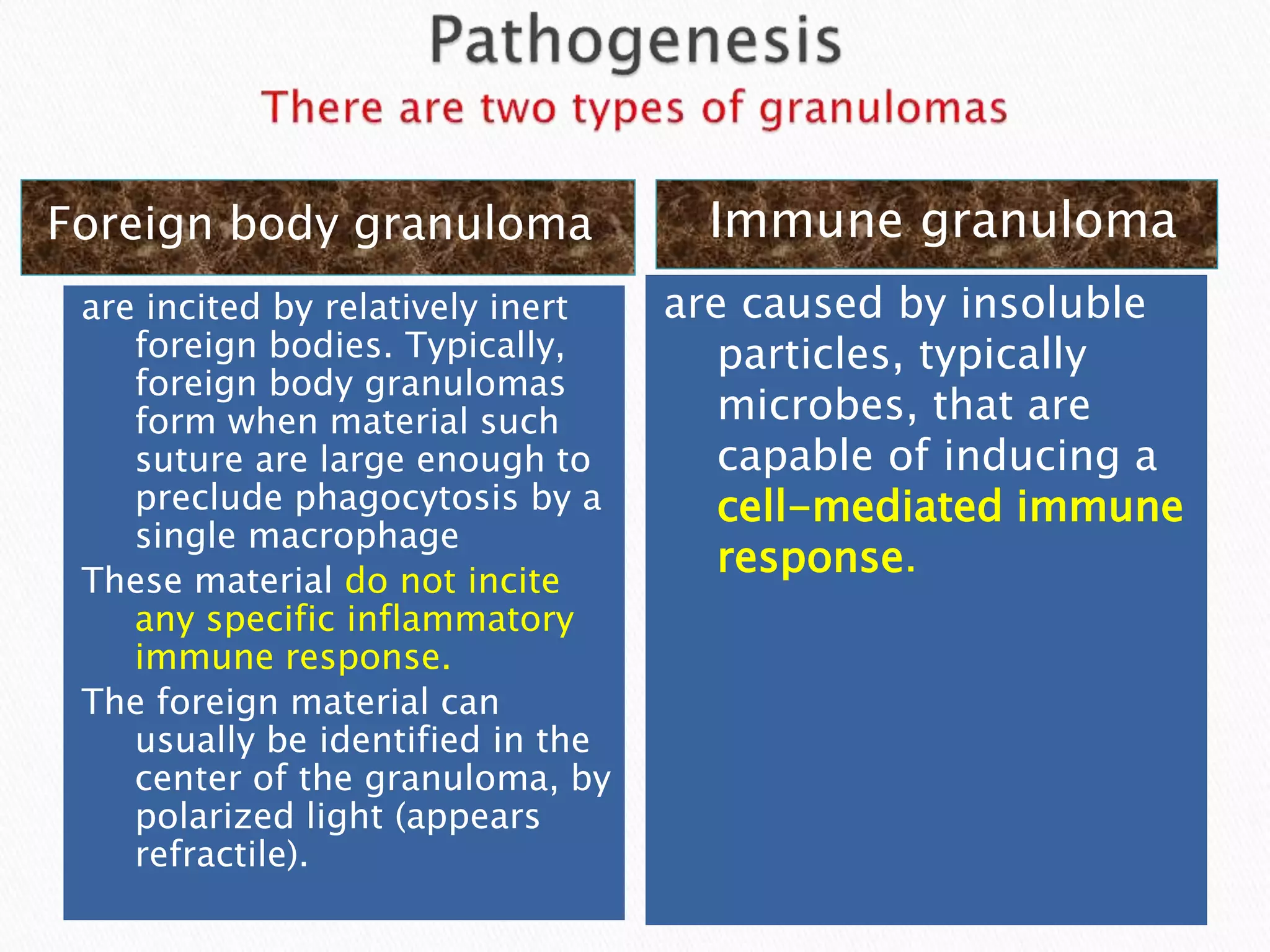 lecture 9-GRANULOMATOUS INFLAMMATION .ppt