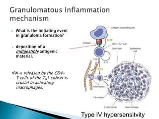 lecture 9-GRANULOMATOUS INFLAMMATION .ppt