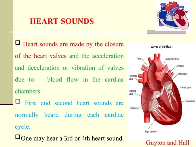 Lecture 9 - Heart sounds Lecture (2012).ppt