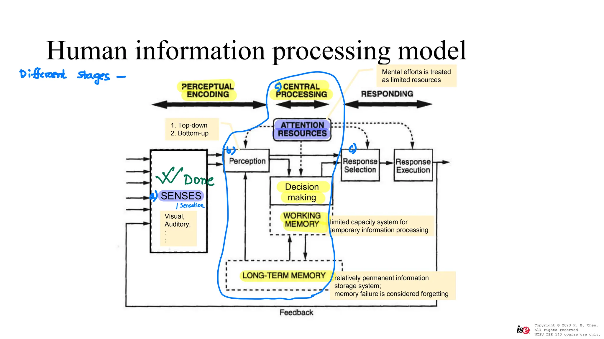 Lecture 9- Human information Processing (Part 1) 02-14-23.pdf