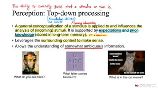 Lecture 9- Human information Processing (Part 1) 02-14-23.pdf
