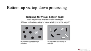 Lecture 9- Human information Processing (Part 1) 02-14-23.pdf