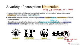 Lecture 9- Human information Processing (Part 1) 02-14-23.pdf