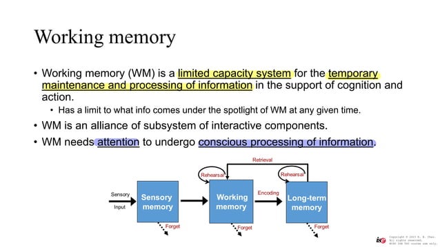 Lecture 9- Human information Processing (Part 1) 02-14-23.pdf