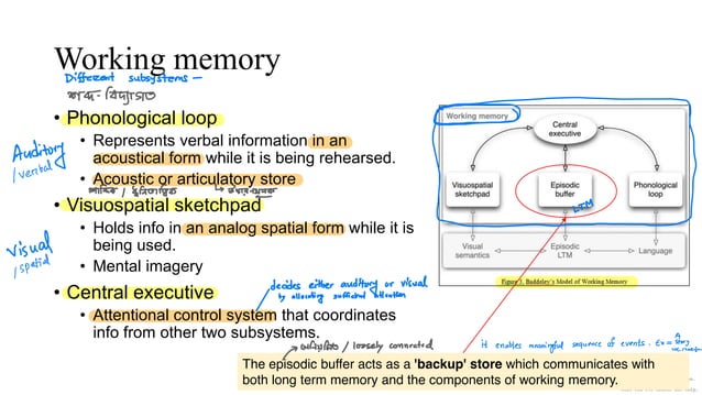 Lecture 9- Human information Processing (Part 1) 02-14-23.pdf