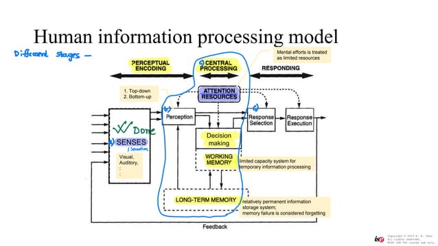 Lecture 9- Human information Processing (Part 1) 02-14-23.pdf