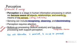 Lecture 9- Human information Processing (Part 1) 02-14-23.pdf