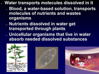 Lecture 9. properties of water | PDF