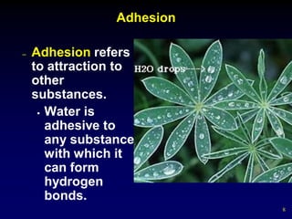 Lecture 9. properties of water | PDF | Chemistry | Science