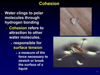 Lecture 9. properties of water | PDF | Chemistry | Science