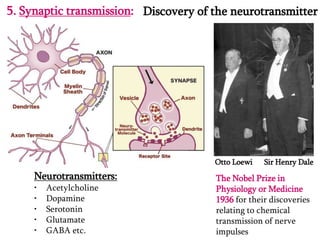 introduction to neurology iit kgp lecture.pptx