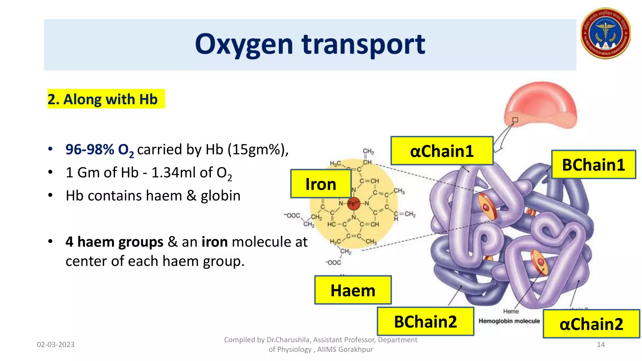 lecture 9/ 2023 -Respiratory Physiology - transport of oxygen I.pdf ...