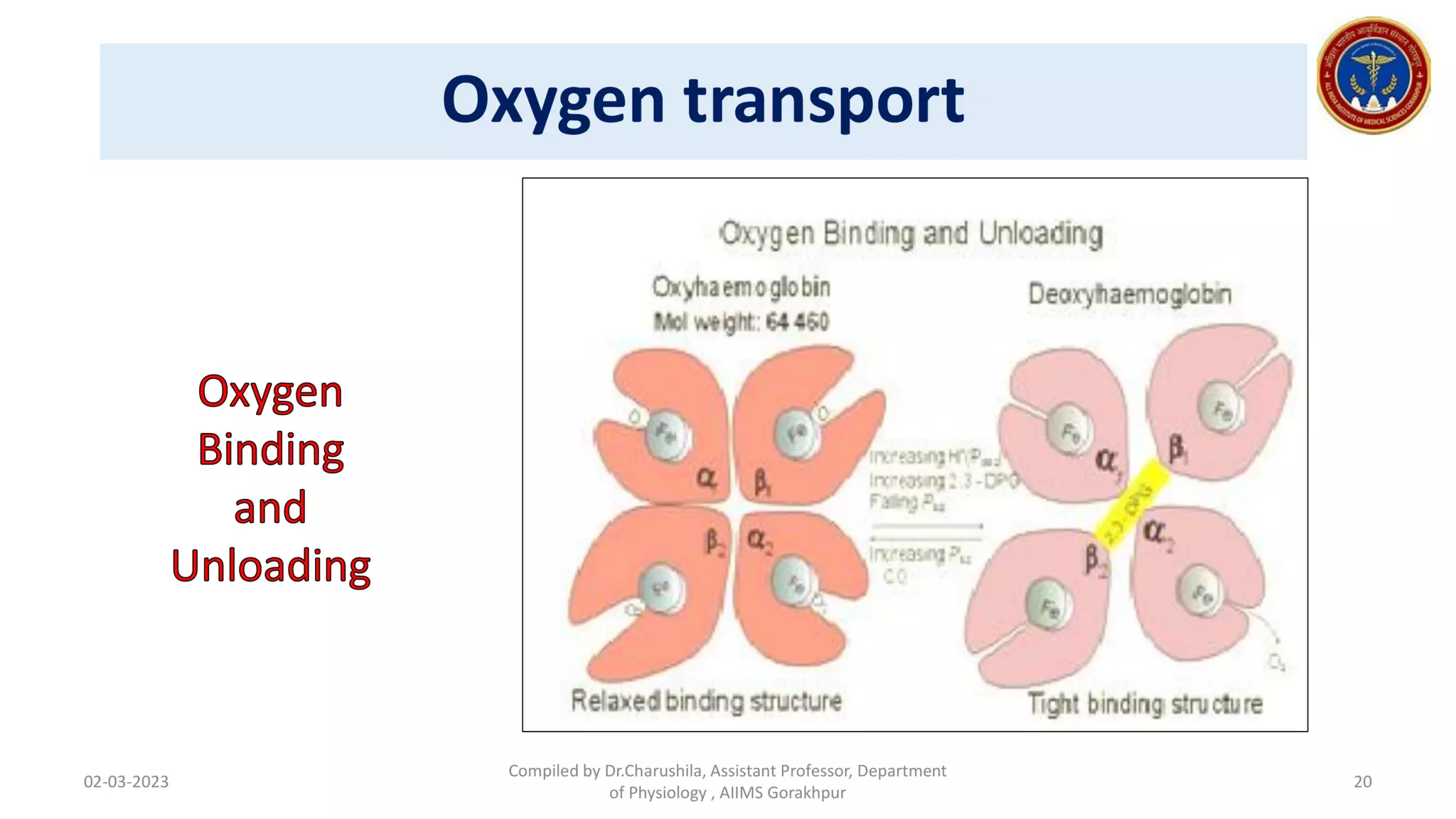 lecture 9/ 2023 -Respiratory Physiology - transport of oxygen I.pdf
