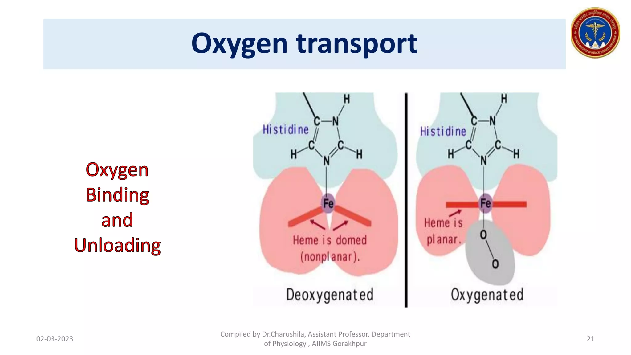 lecture 9/ 2023 -Respiratory Physiology - transport of oxygen I.pdf