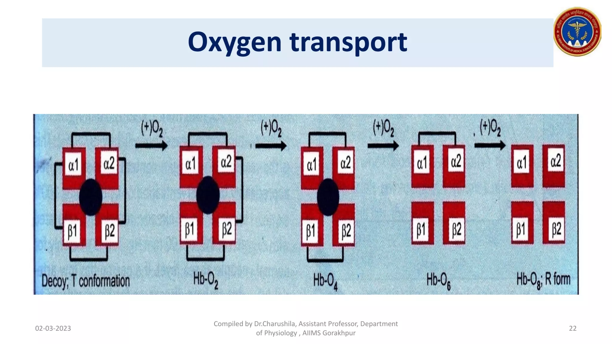 lecture 9/ 2023 -Respiratory Physiology - transport of oxygen I.pdf ...
