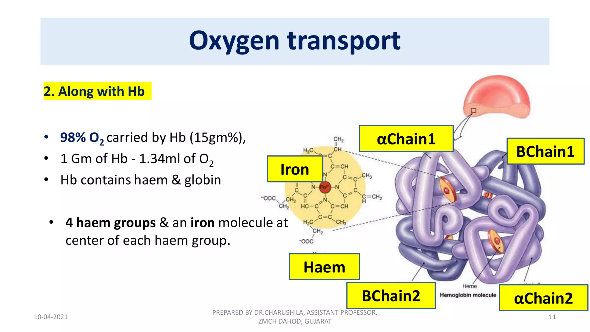 Transport of oxygen | PPT