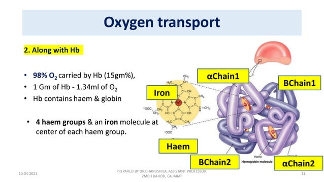 Transport of oxygen | PPT