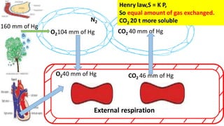 Transport of oxygen | PPT