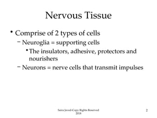 Nervous tissues and nervous systems: Neuropsychological Basis of ...