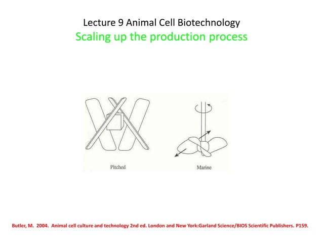 Lecture 91b scaling up | PPT
