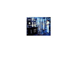 Lecture 91b scaling up | PPT