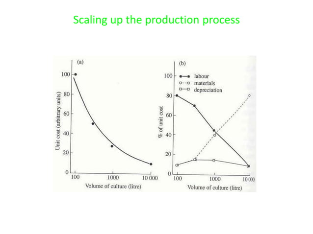 Lecture 91b scaling up | PPT