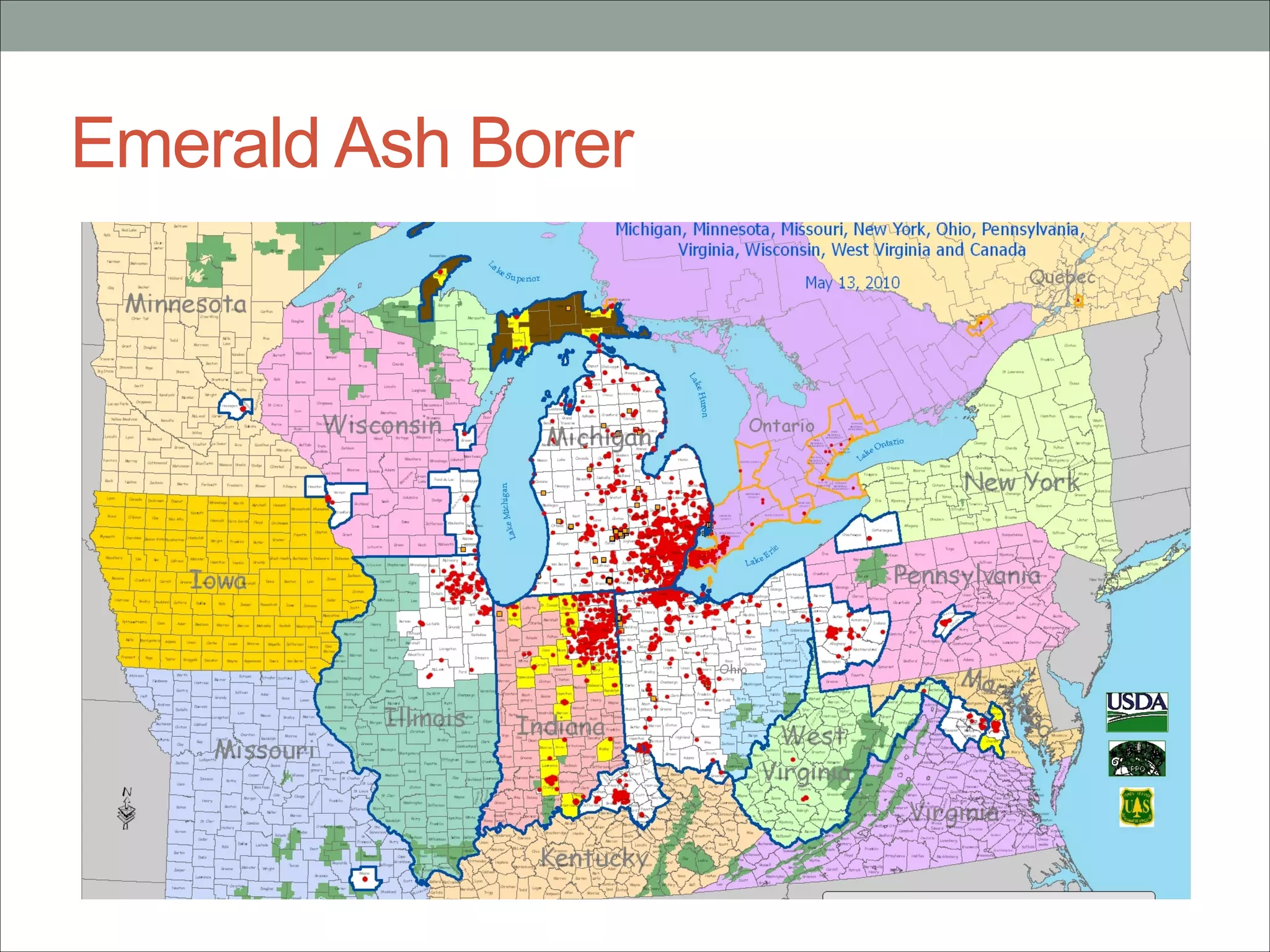 SPATIAL POINT PATTERNS | PDF