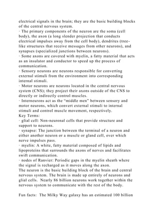 LECTURE 99From Neurons to the Nervous System to the Brain The .docx