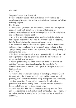 LECTURE 99From Neurons to the Nervous System to the Brain The .docx