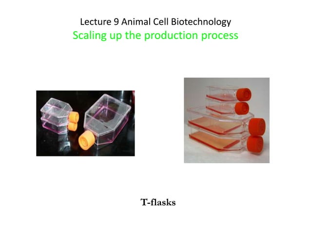 Lecture 9a scaling up | PPTX