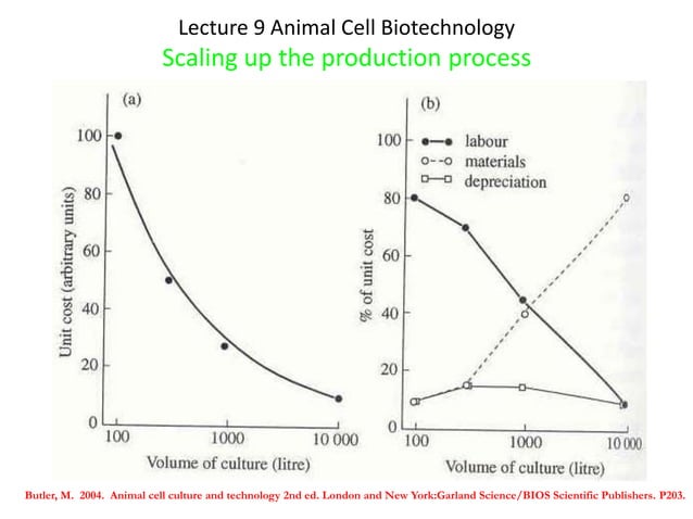 Lecture 9a scaling up | PPTX