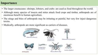 Lecture 9 (arthropoda) | PDF