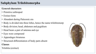 Lecture 9 (arthropoda) | PDF