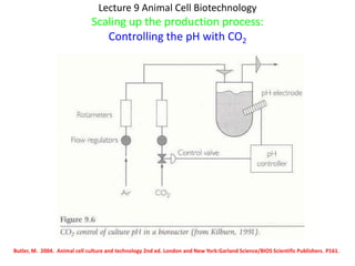 Lecture 9b scaling up | PPTX | Biotech and Biomedical Industry | Industries