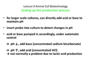 Lecture 9b scaling up | PPTX | Biotech and Biomedical Industry | Industries