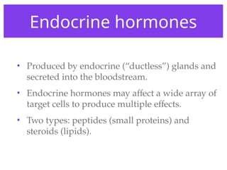 LECTURE 9b ENDOCRINE SYSTEM physiology.ppt