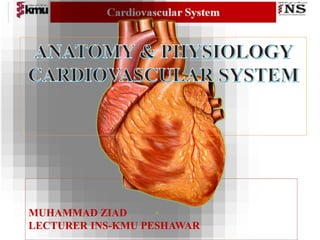 Lecture 9 CVS.pptx