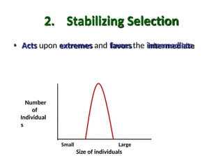 Lecture 9 Natural selection Evolution.pptx