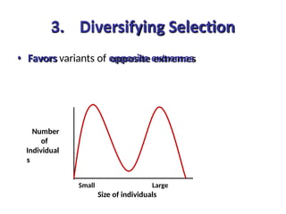Lecture 9 Natural selection Evolution.pptx