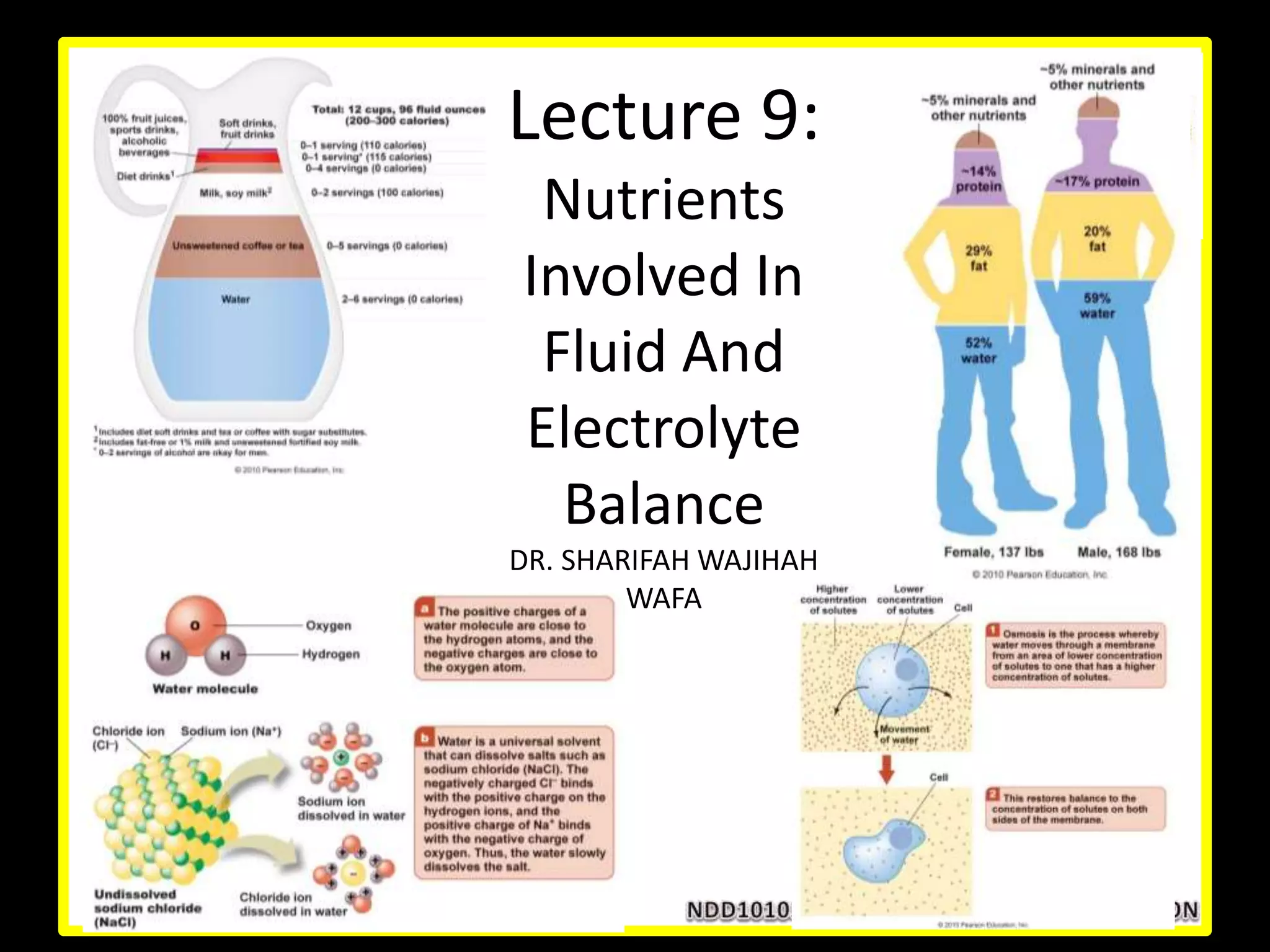 Lecture 9 nutrients involved in fluid and electrolyte balance | PPTX ...