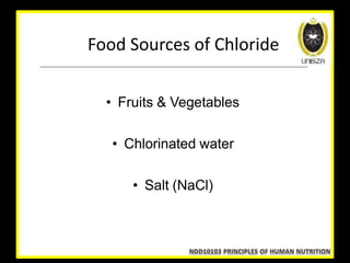 Lecture 9 nutrients involved in fluid and electrolyte balance | PPTX