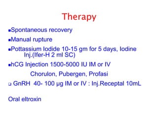 Lecture 9 Ovarian cysts in domestic animals | PDF