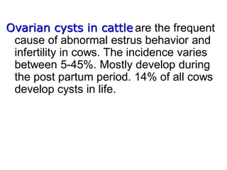 Lecture 9 Ovarian cysts in domestic animals | PDF