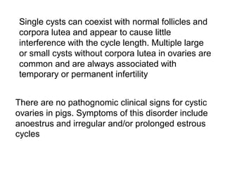 Lecture 9 Ovarian cysts in domestic animals | PDF